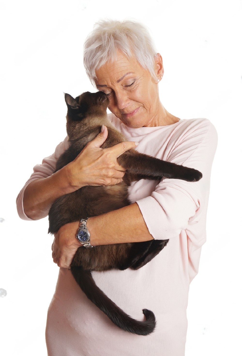 25 Symptoms of Dead Kitten Inside Cat [2024 Update] - Petsmartgo