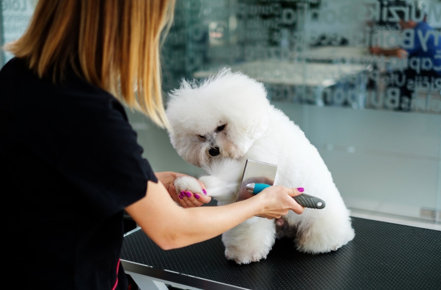 What Is A Good Brush To Use On A Labrador