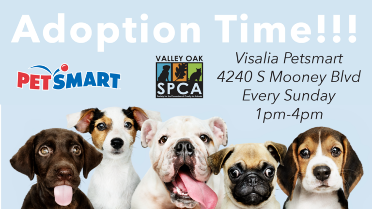 PetSmart Visalia: Everything You Need to Know - Petsmartgo
