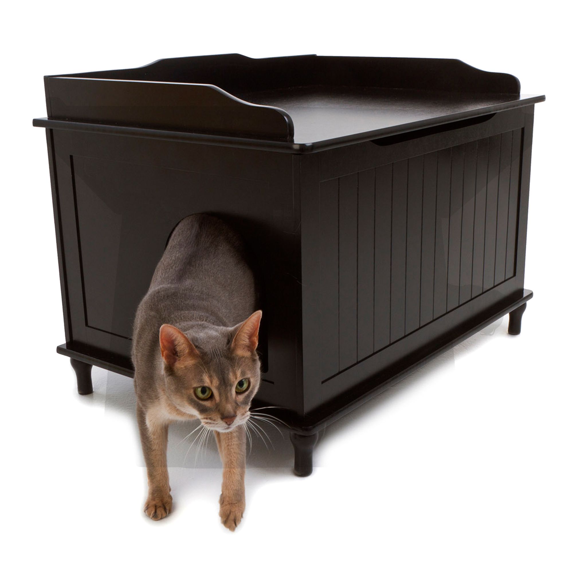 Petsmart Litter Box [The Ultimate Guide Updated] - Petsmartgo
