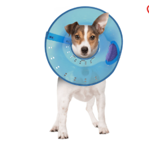Dog Cones PetSmart - Everything You Need to Know - Petsmartgo