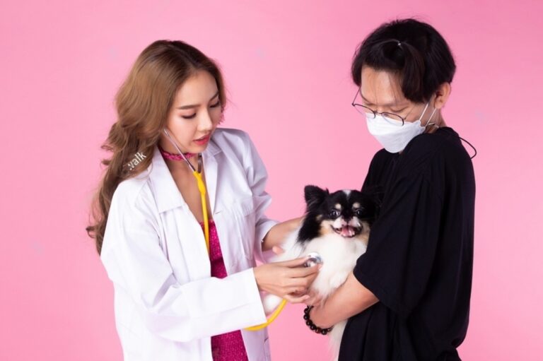 5 Dog Health Conditions You Should Know Petsmartgo