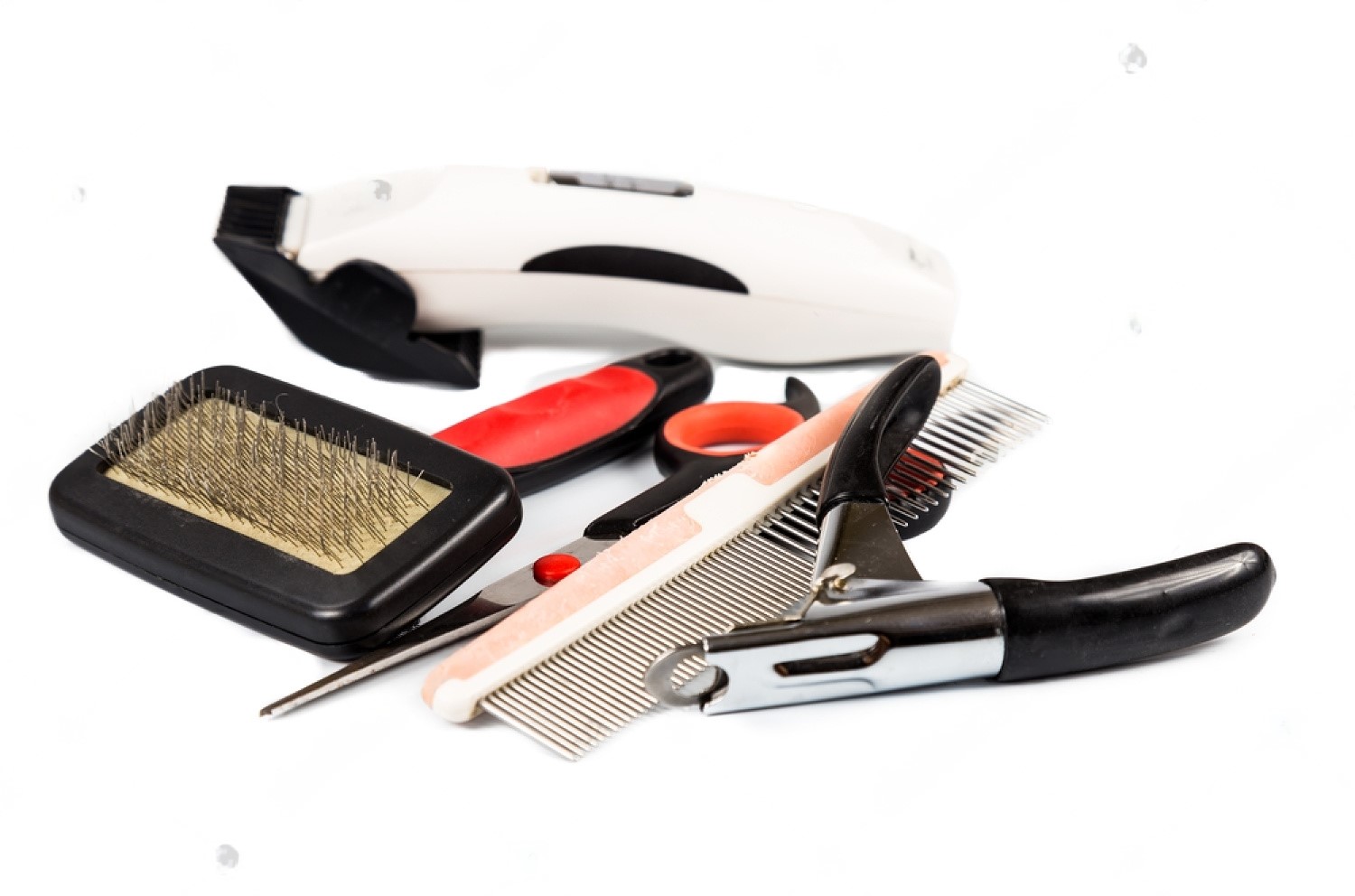 The Importance of Grooming for Your Pet's Health and Happiness - Petsmartgo