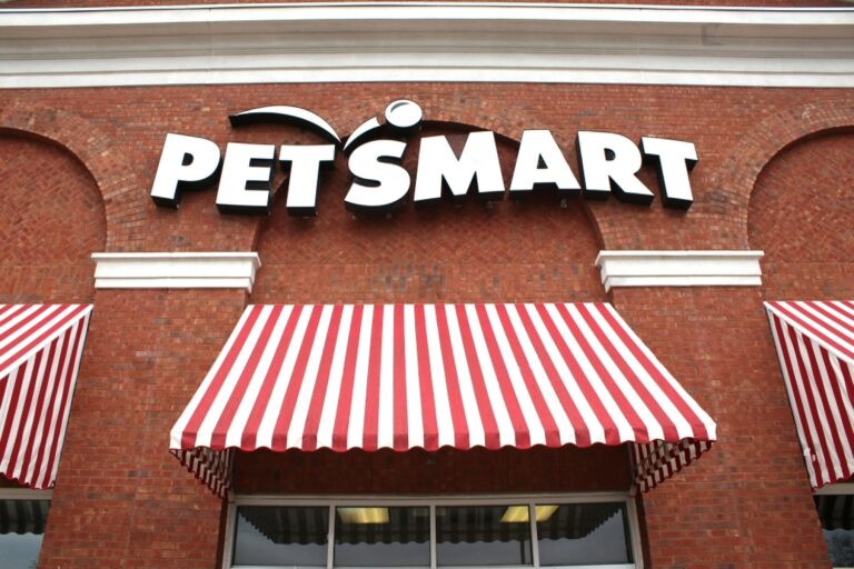 Comprehensive Guide To Petsmart Training Classes - Petsmartgo