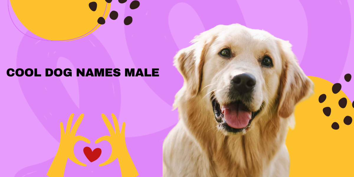 199 Unique Male Dog Names - Petsmartgo